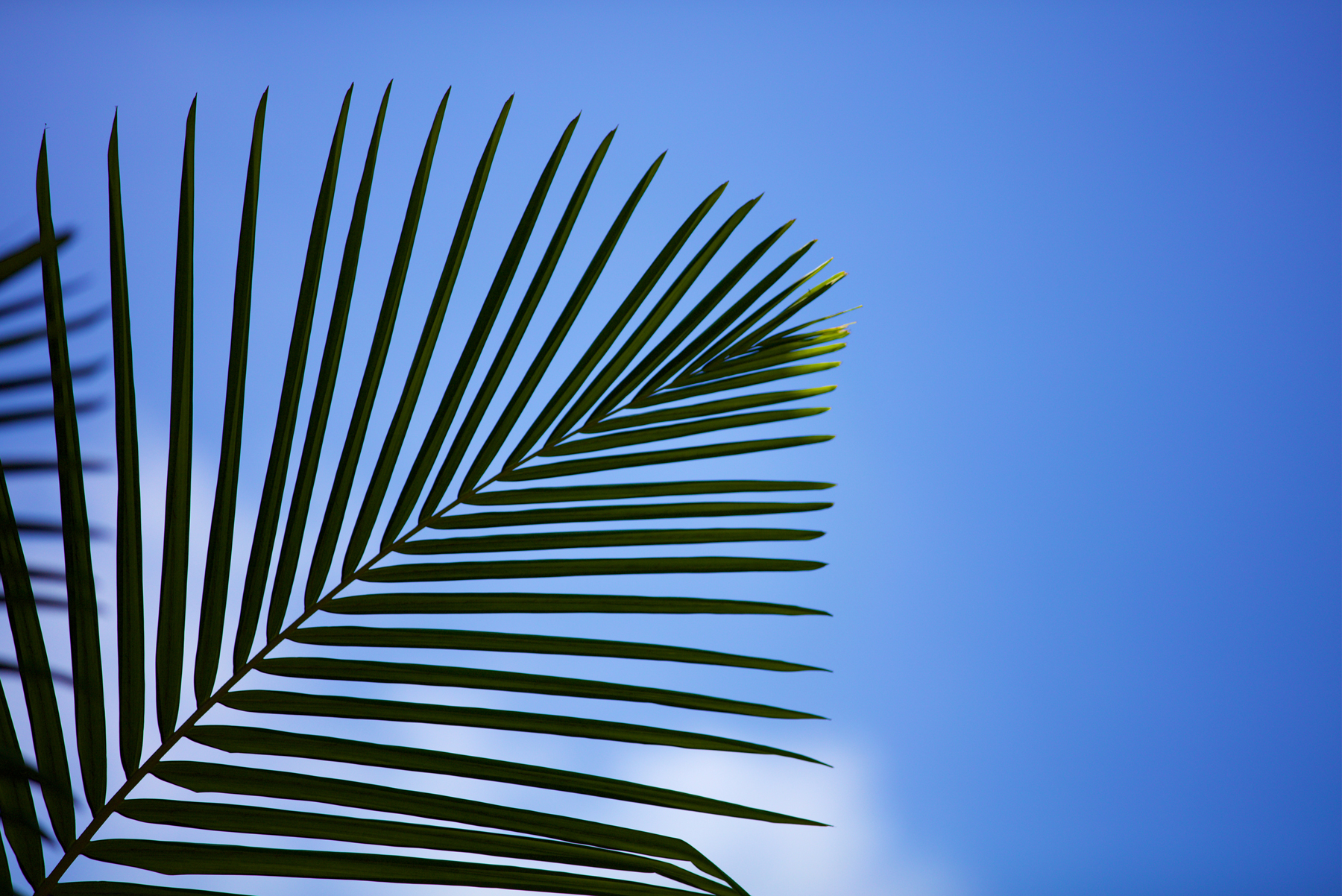 Earth Day 2016: Carbon Footprint Reduced by 73,800 Metric Tons ...